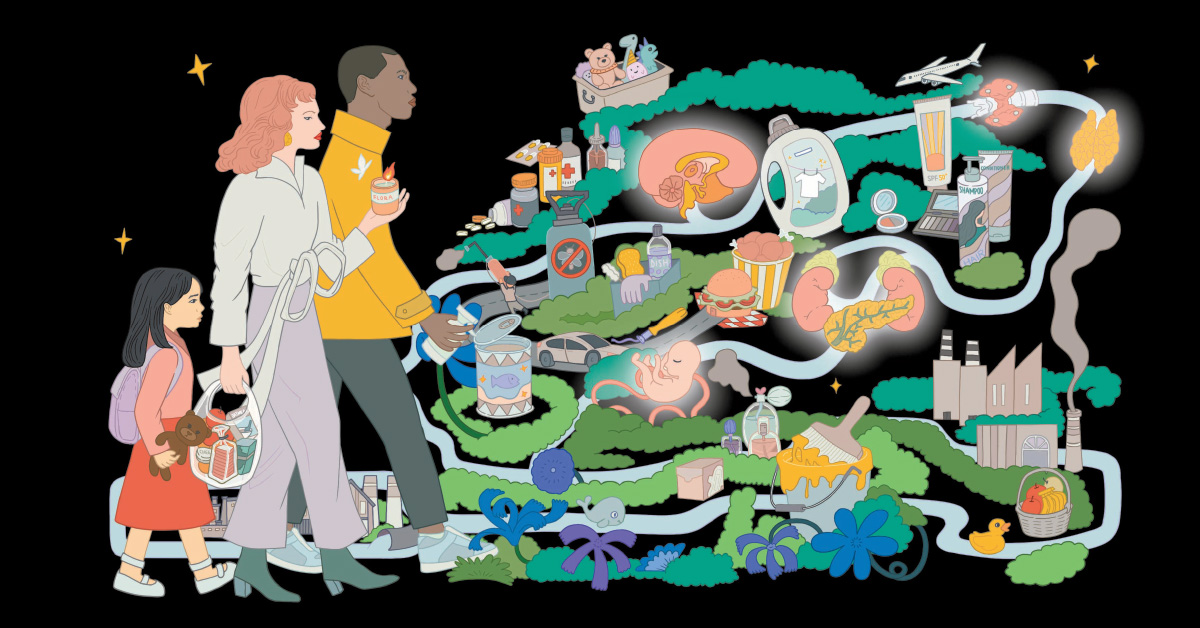 Shedding Light on Endocrine Disruptors